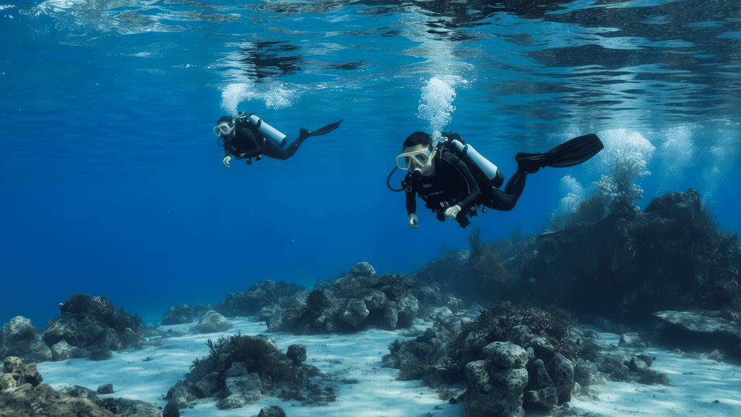 Top Things to Do on Padar Island: Your Complete Travel Itinerary | Dive Tribe Komodo