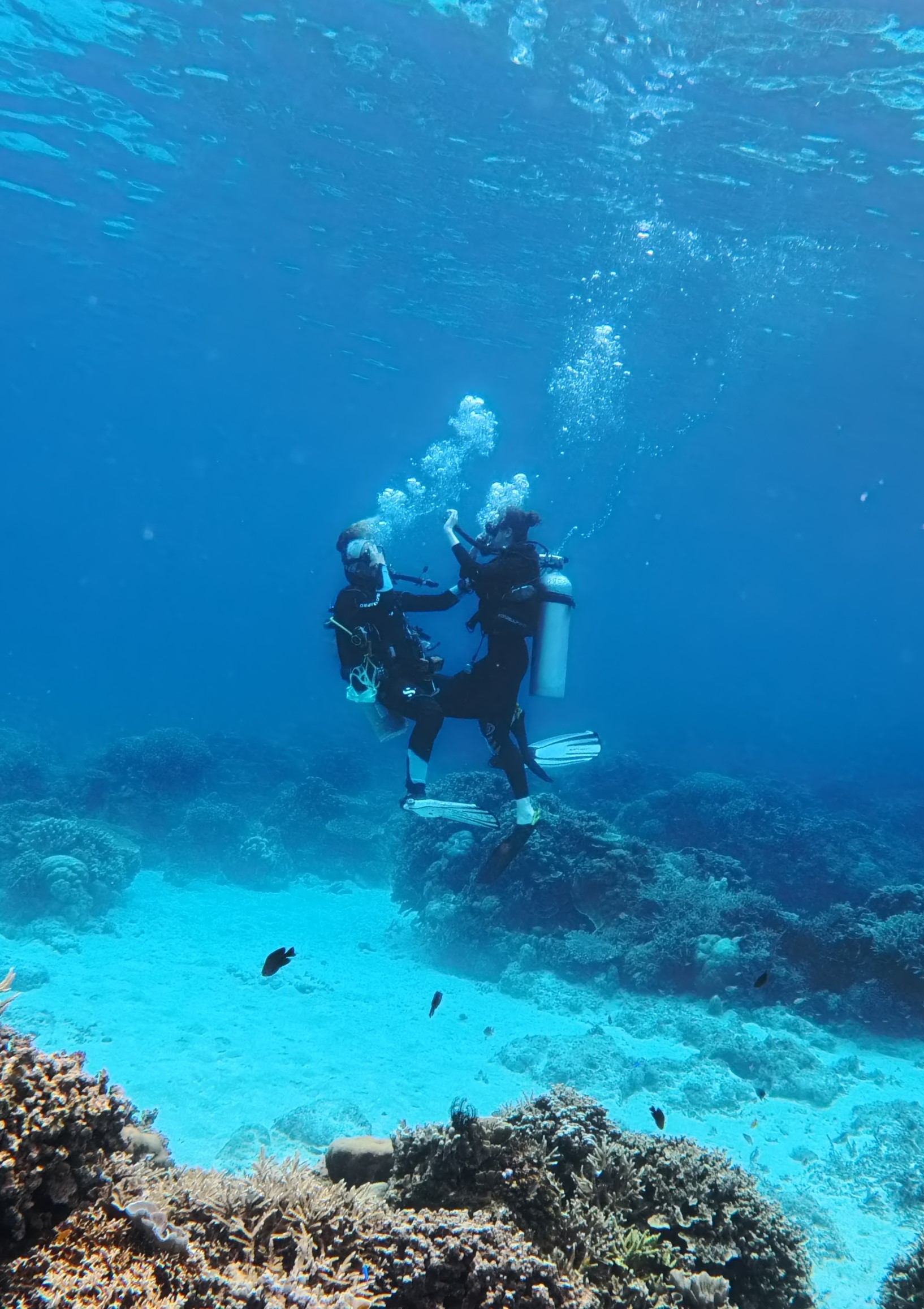 How to Get to Komodo Island: All you need to know | Dive Tribe Komodo