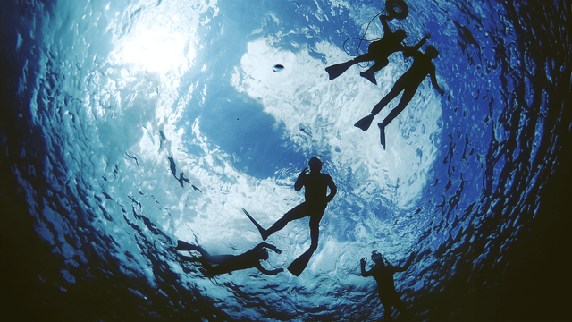 Dive Tribe Komodo