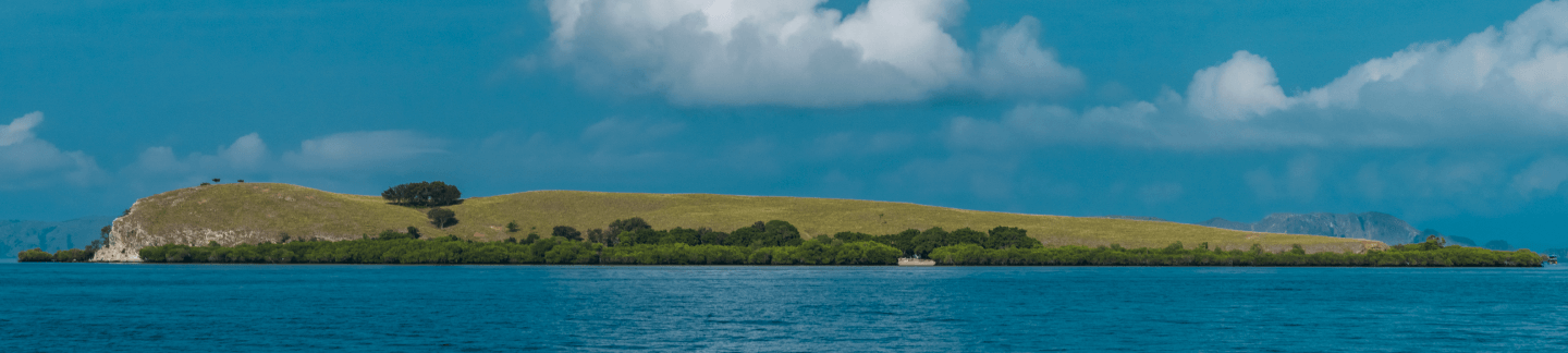 How to Get to Komodo Island: All you need to know | Dive Tribe Komodo